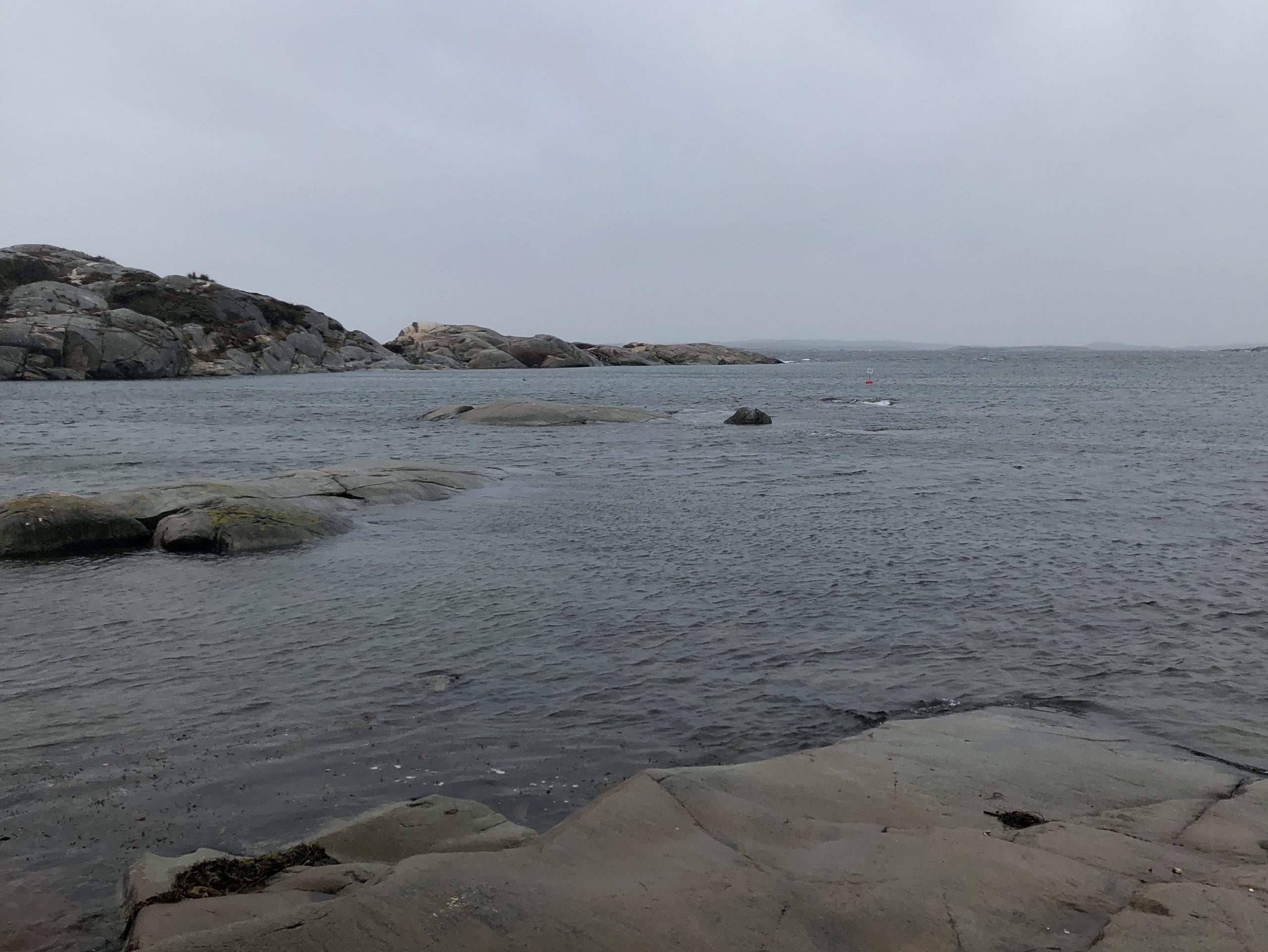Vandring längs kusten på Stora Amundön. – Naturskyddsföreningen i Göteborg